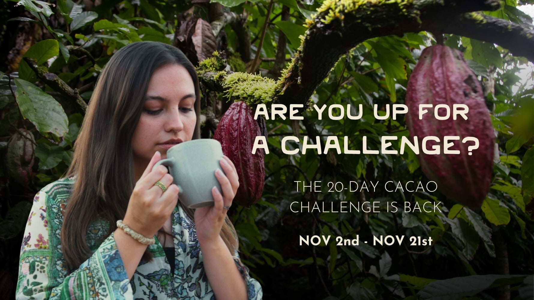 The Mayan Wisdom Project | Explore our Mayan Market