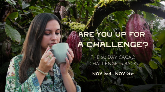 The Mayan Wisdom Project | Explore our Mayan Market