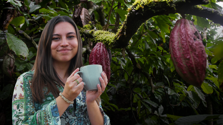 The Mayan Wisdom Project | Explore our Mayan Market