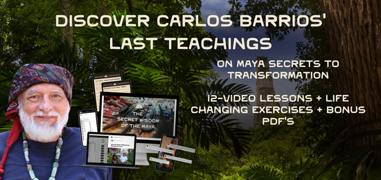 The Mayan Wisdom Project | Explore our Mayan Market